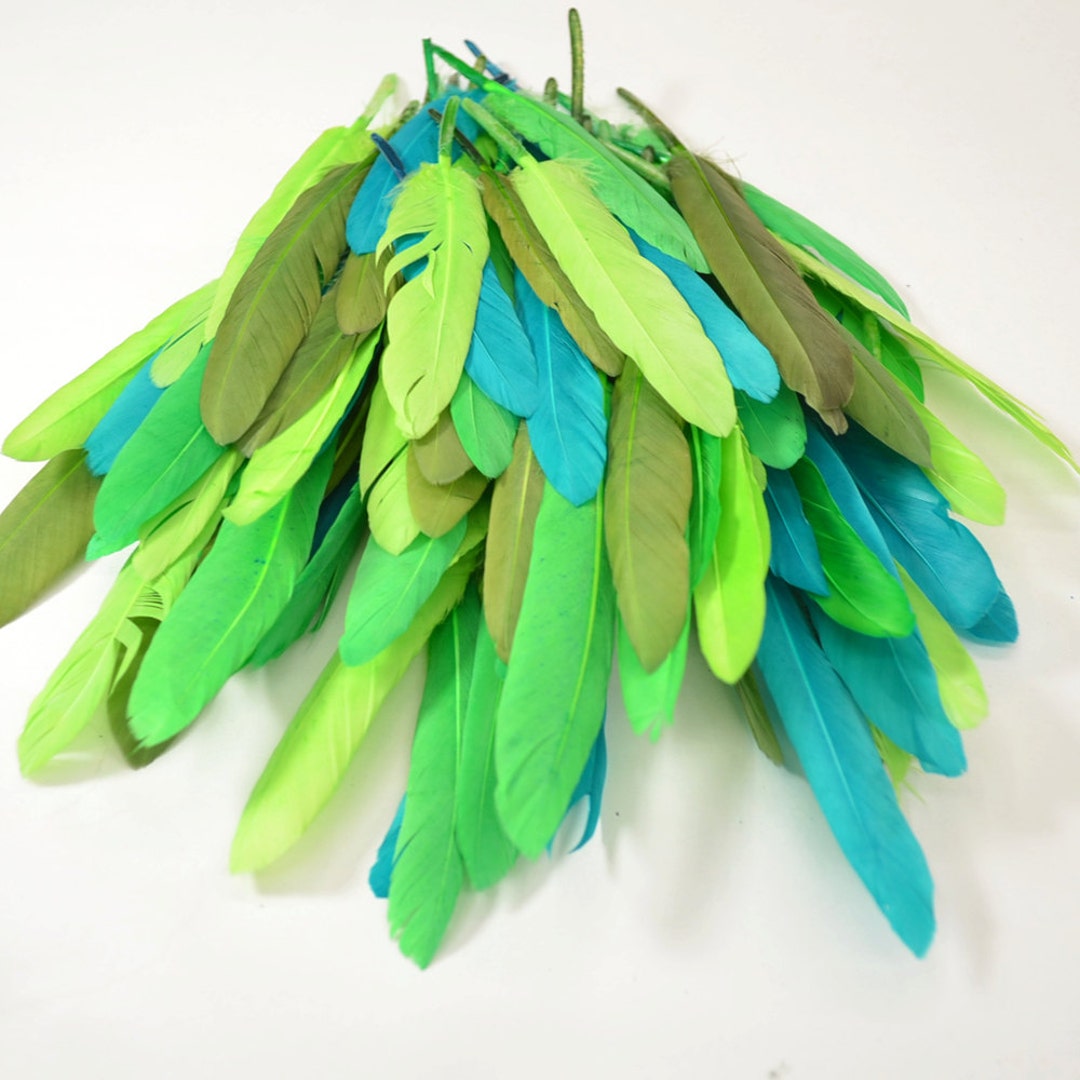 Middling Duck Quills, Stiff Loose Feathers - Amazon Rainforest (20pcs ...