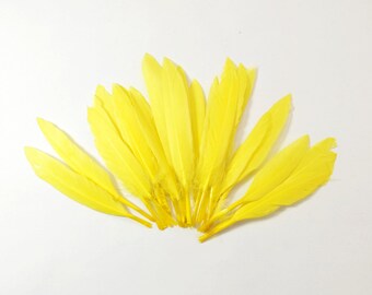 24pcs Small Duck Quills Stiff Loose Feathers-black | Etsy