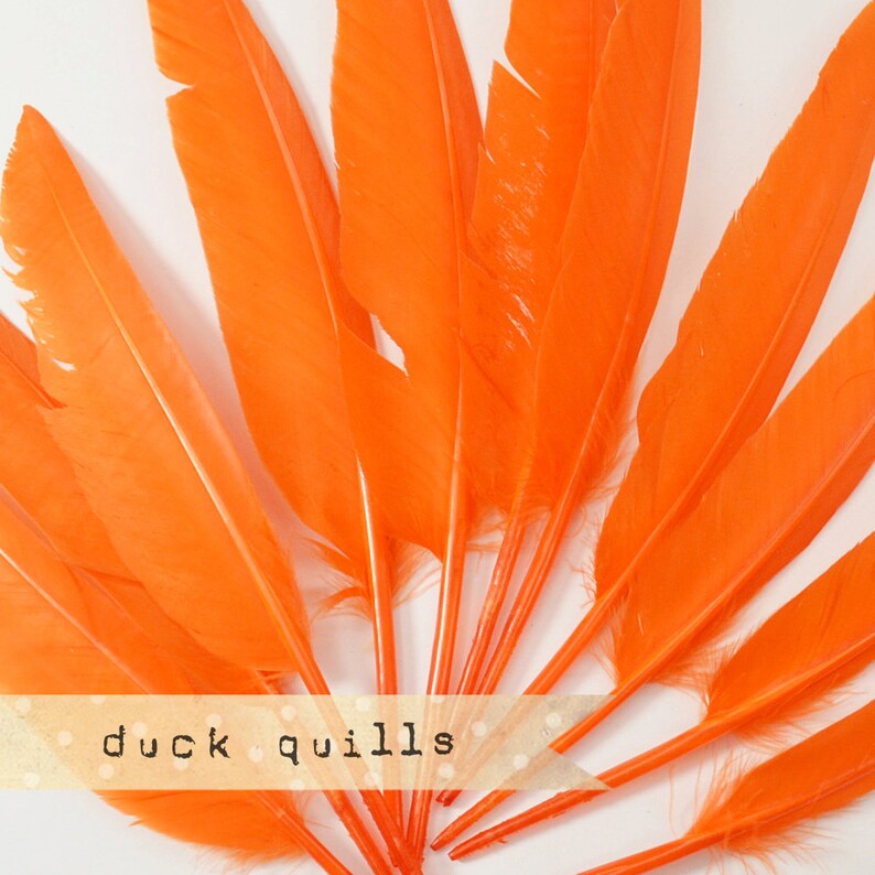 10pcs ORANGE Large Duck Quills Stiff loose feathers | Etsy