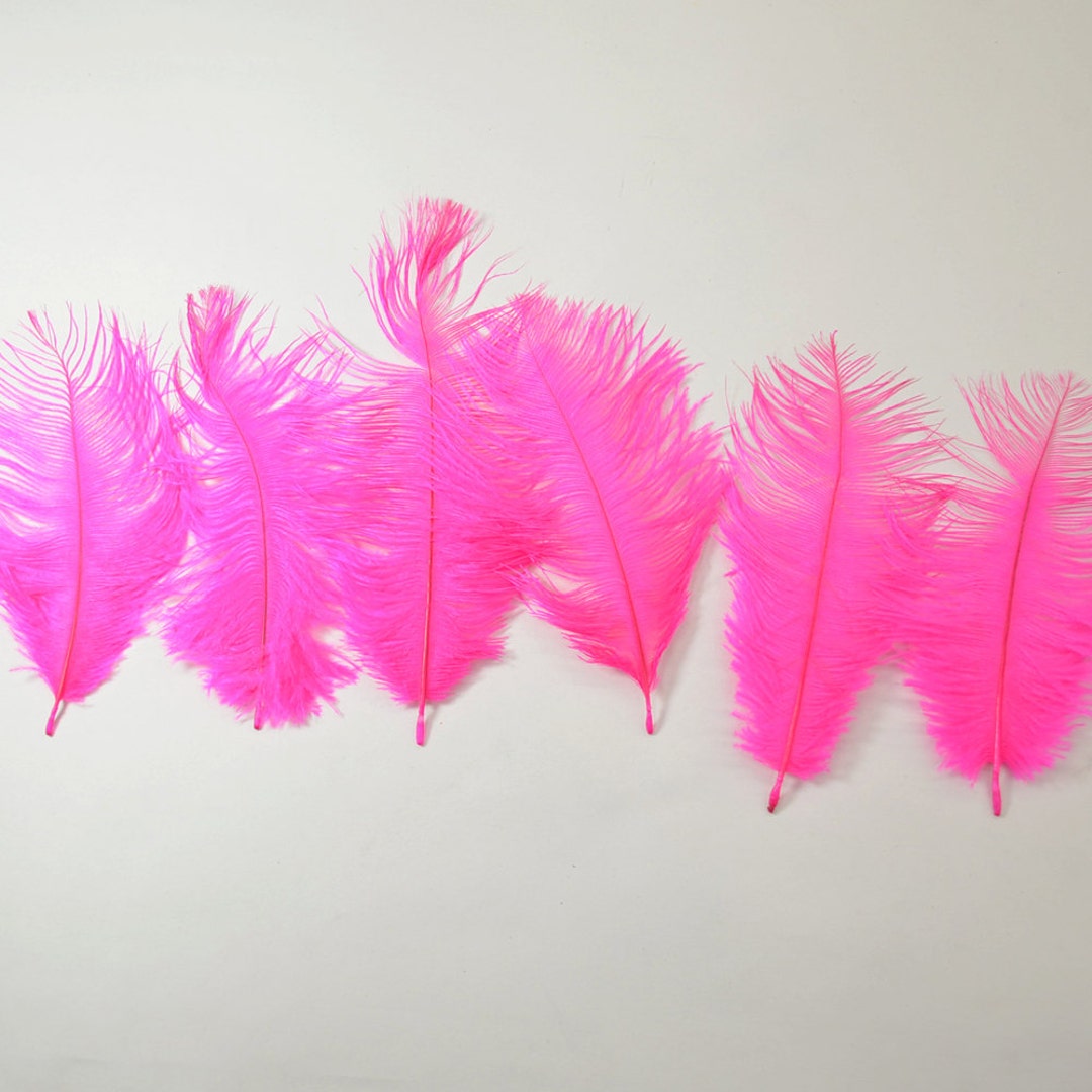 Petite avestruz parduzco plumas color de rosa caliente 4-8 - Etsy España