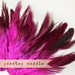 50 Pcs+ - Rooster Saddle Feathers - 2 Inch Strip - Two-tone, Pointy Tip ...