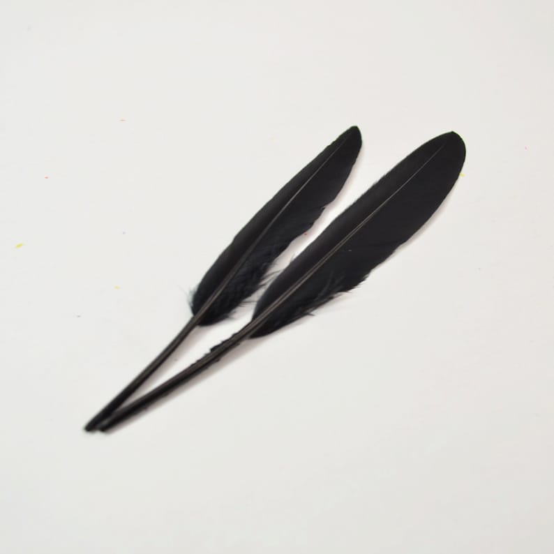 24pcs Small Duck Quills Stiff Loose Feathers-black - Etsy Sweden