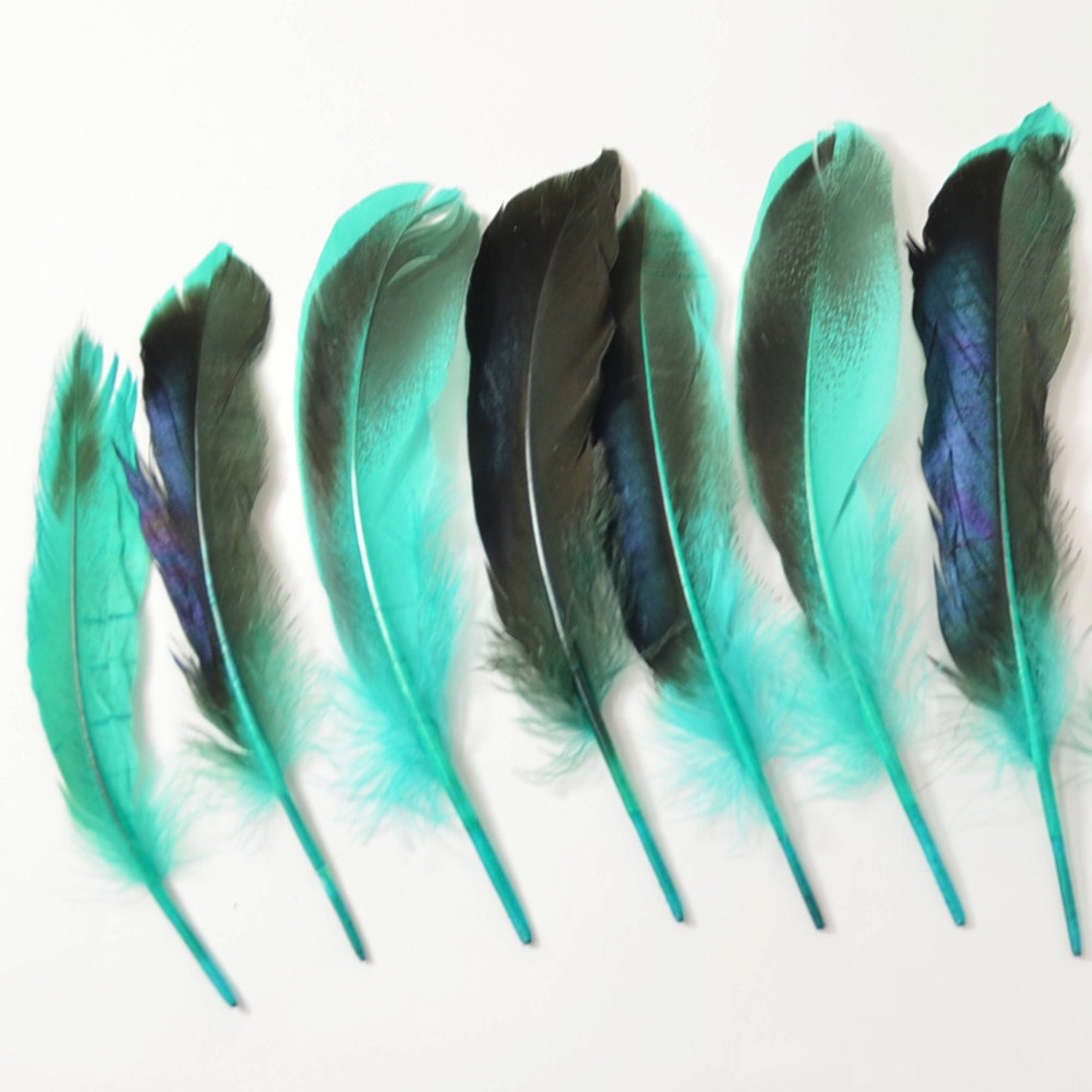 Mallard Feathers Iridescent Green Wing Teal 10pcs : M09 | Etsy