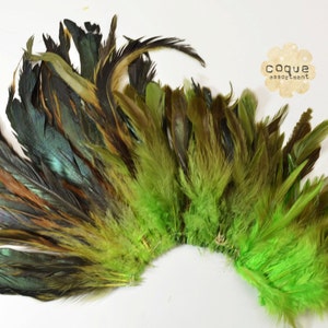 120pcs+- Rooster Coque Feathers Assortment, Sadle, Schlappen, and Tail ...