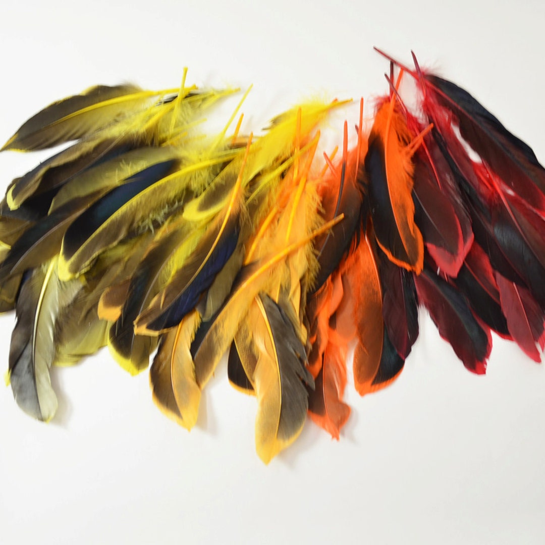 Mallard Feathers, Iridescent Green Wing - Fire Mix (40pcs) : MMIX002 #1 ...