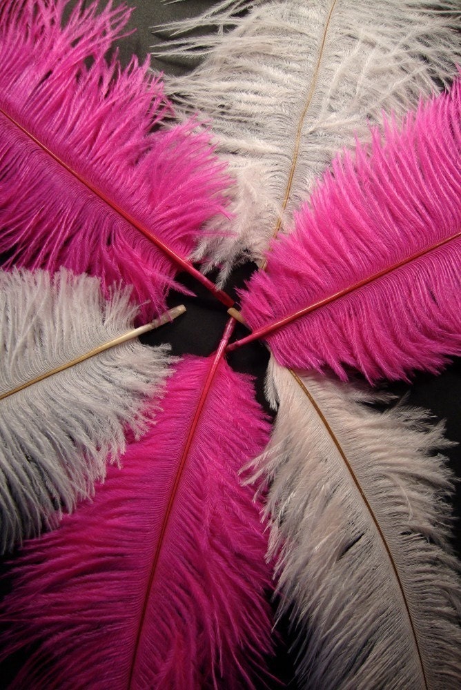 6 Hot Pink and Baby Pink Ostrich Feathers. 7 Inches Tall. - Etsy