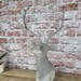 Stag Bust Grey Large Stag Statue Ornament Home Decor - Etsy UK