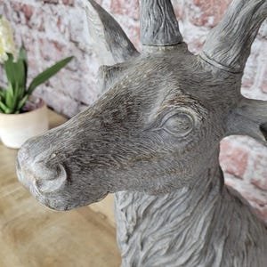 Stag Bust Grey Large Stag Statue Ornament Home Decor - Etsy UK