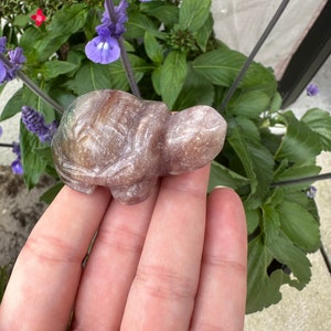 Ocean Jasper Turtle Sculpture: Unique Handcrafted Gemstone Turtle ...