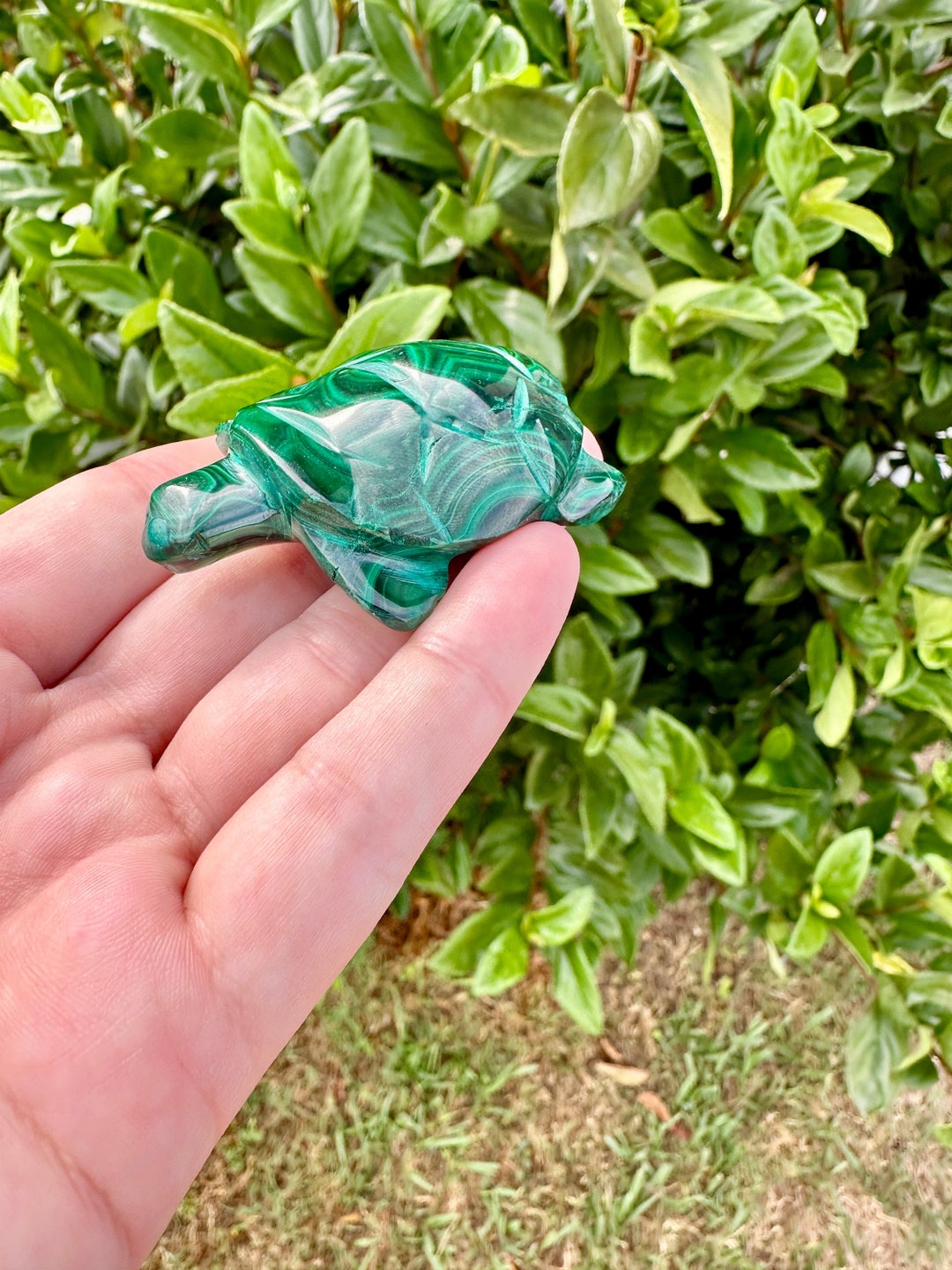 Malachite Turtle Carving, Handcrafted Gemstone Turtle, Green Malachite ...