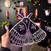Paper Mache Moth Wall Décor - Etsy