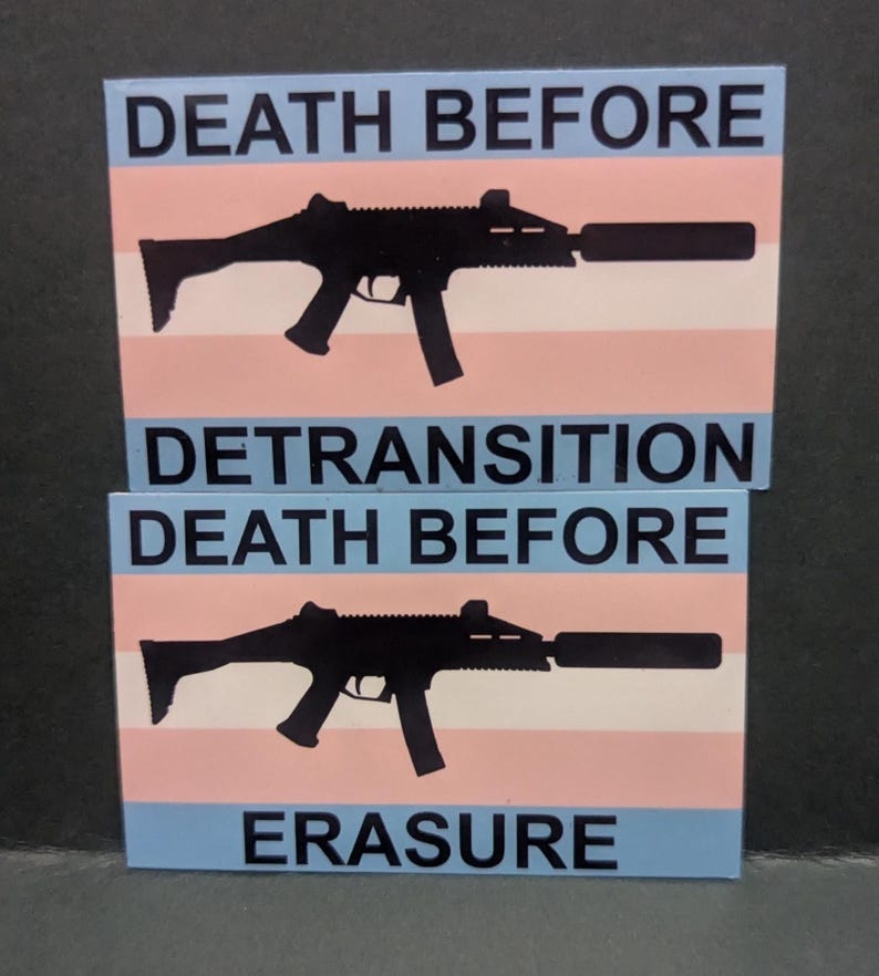 Trans Pride Flag - Etsy