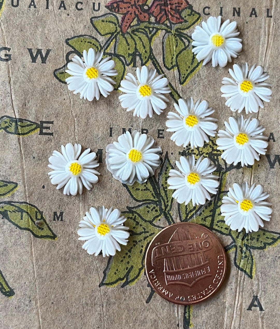 Japan 1950's WHITE DAISY VINTAGE Authentic Cellulose 12mm - Etsy