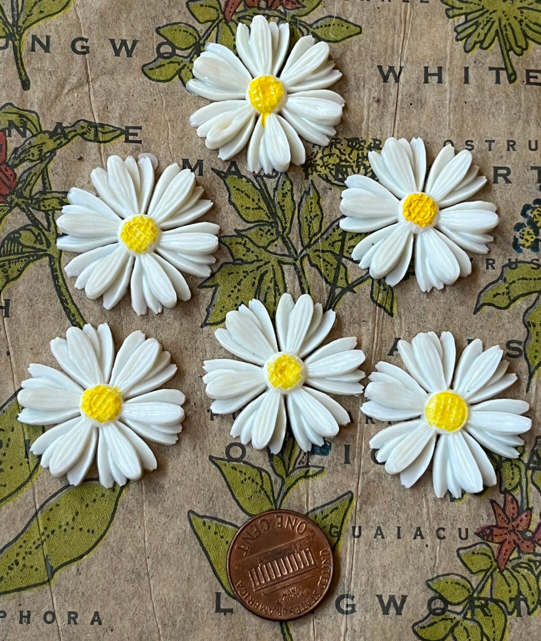 1950's Japan WHITE DAISY Vintage Authentic Celluloid 30mm - Etsy