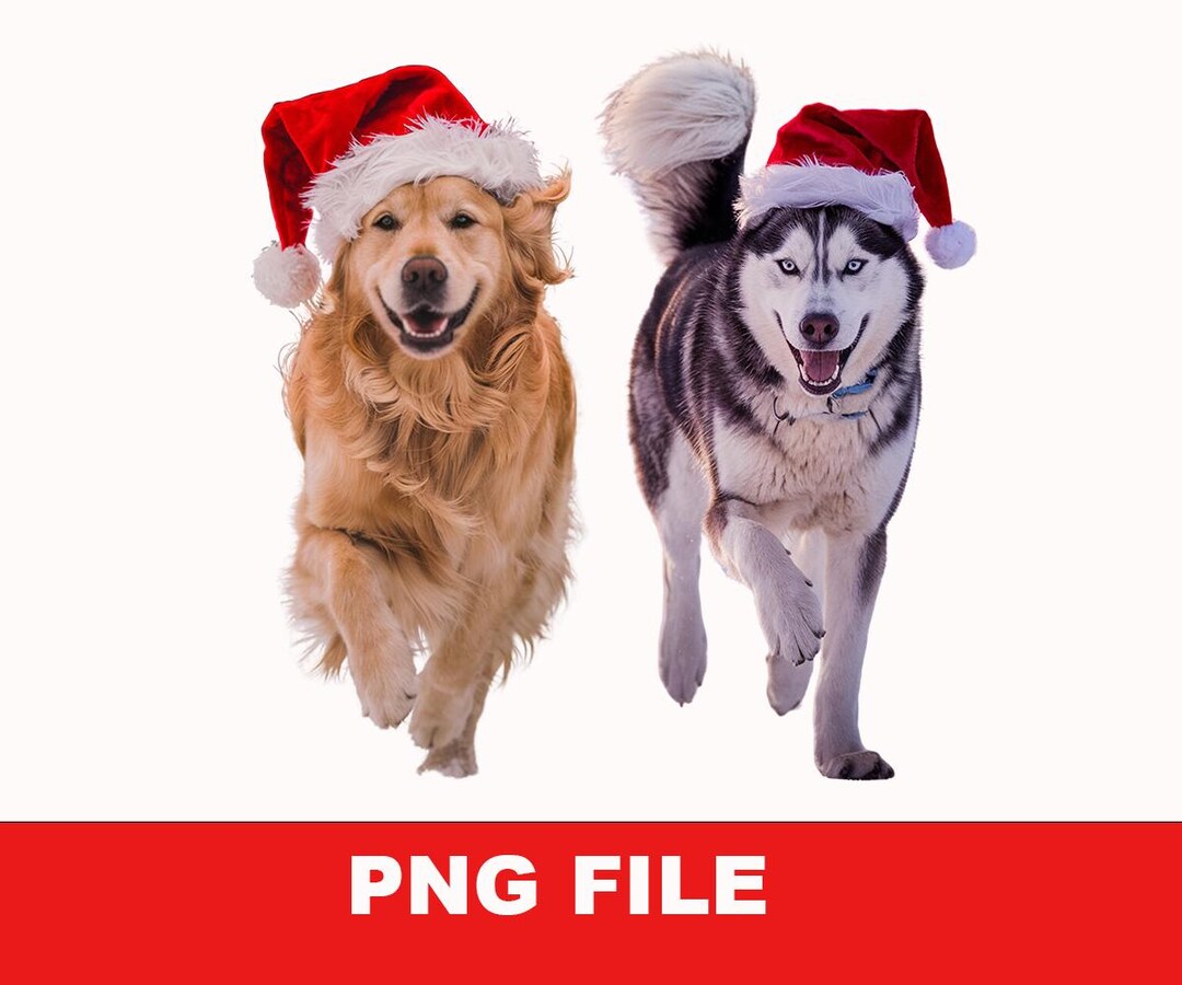 A Photo of Two Dogs Wearing a Santa Claus Hat, Smiling and Running ...