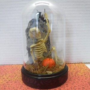 Handcrafted Halloween Cloche Disjointed Skeleton - Etsy