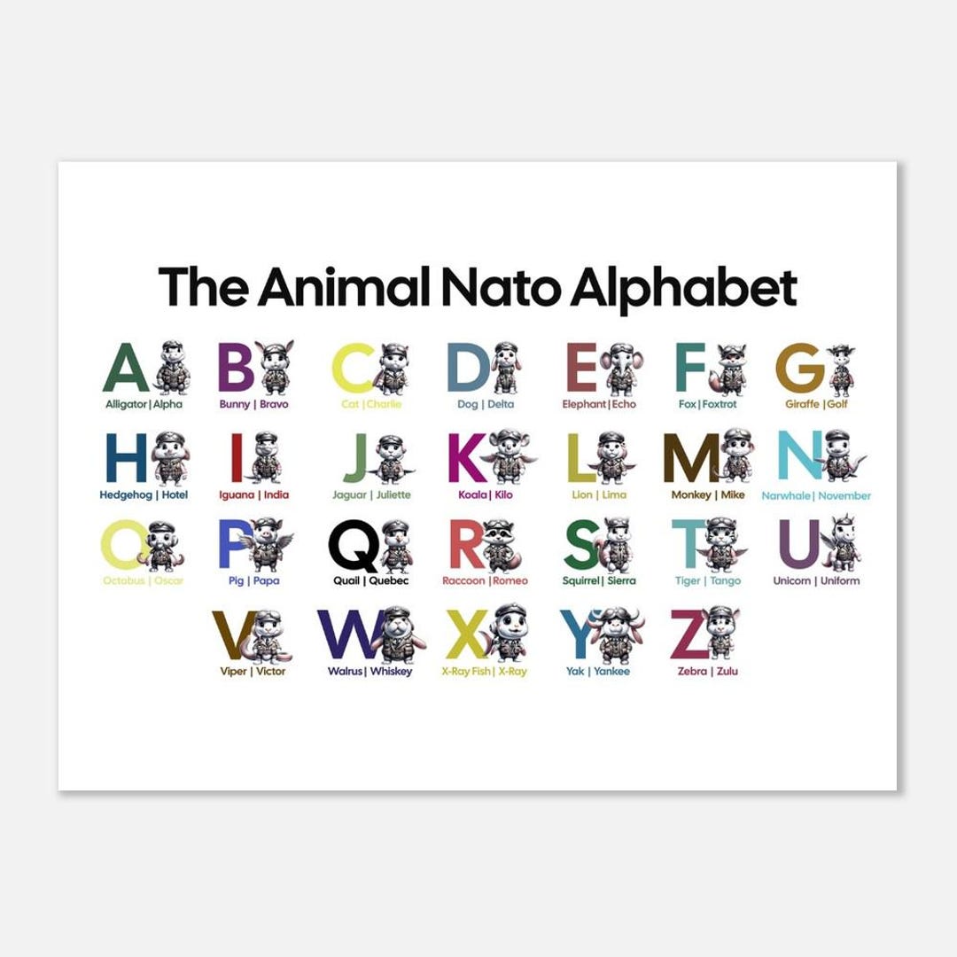 The Animal Nato Alphabet, Gift for Future Pilots, Pilot ABC, Classroom ...