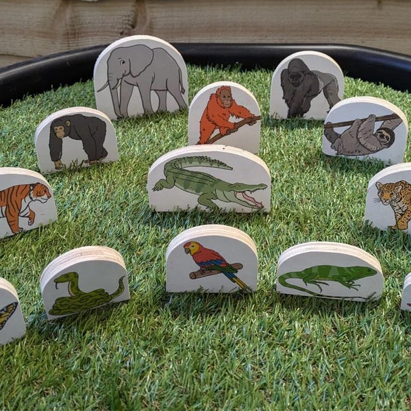 Animals Tuff Tray - Etsy UK