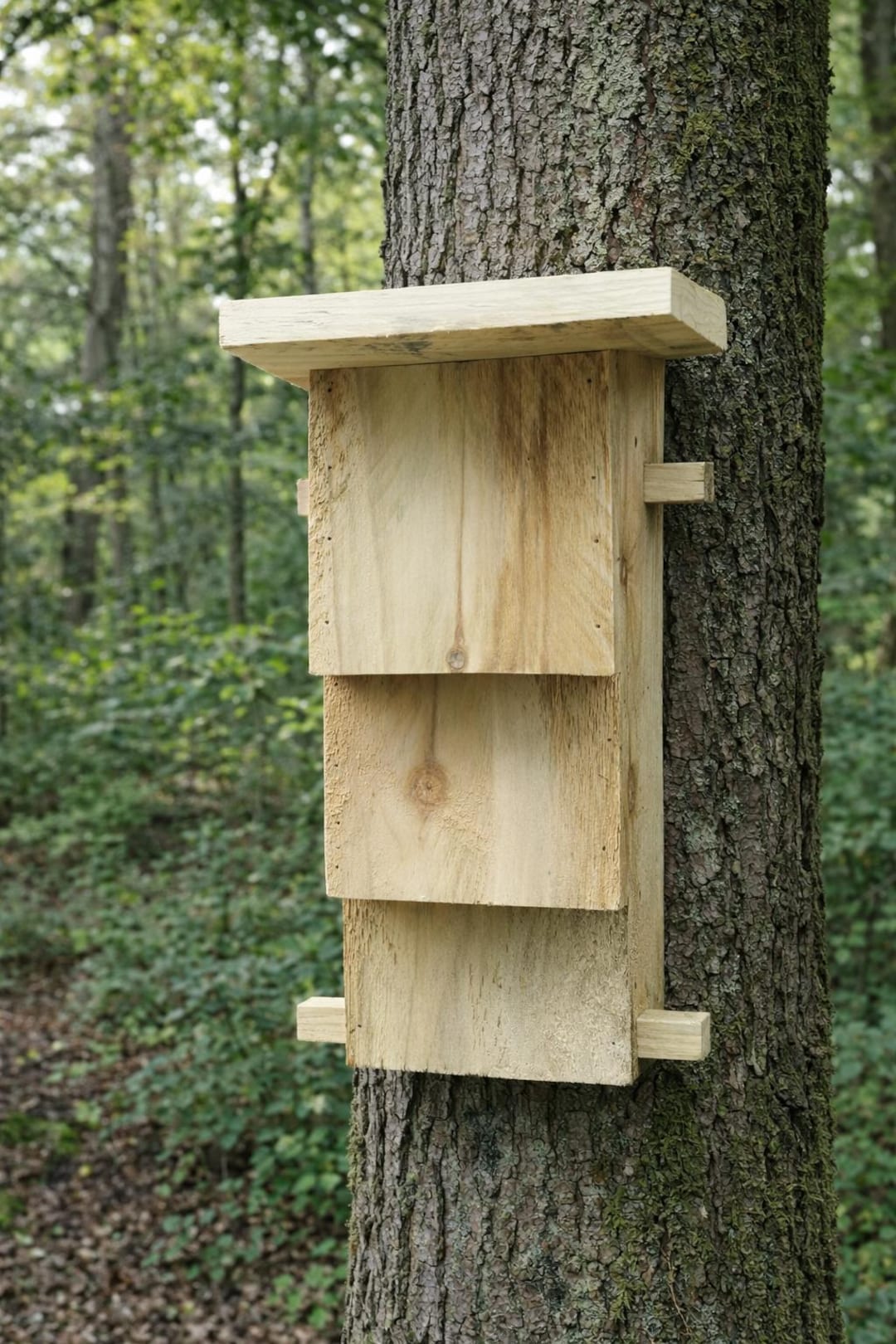 Bat Box - Rustic, Wooden, Kent Style - Etsy UK