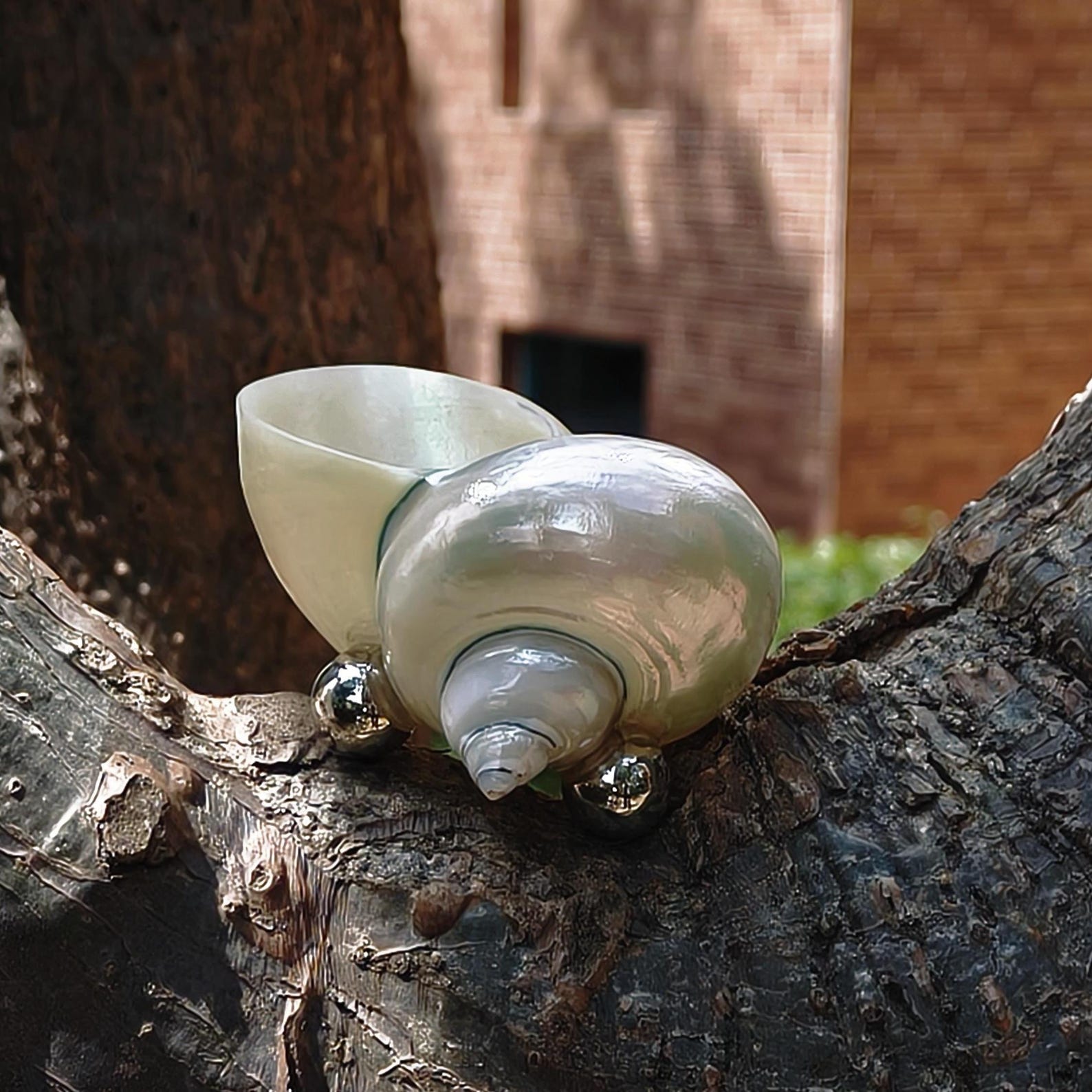 Valentine's Day 2025, Conch Shell Ashtray, Handmade Ashtray, Father's ...