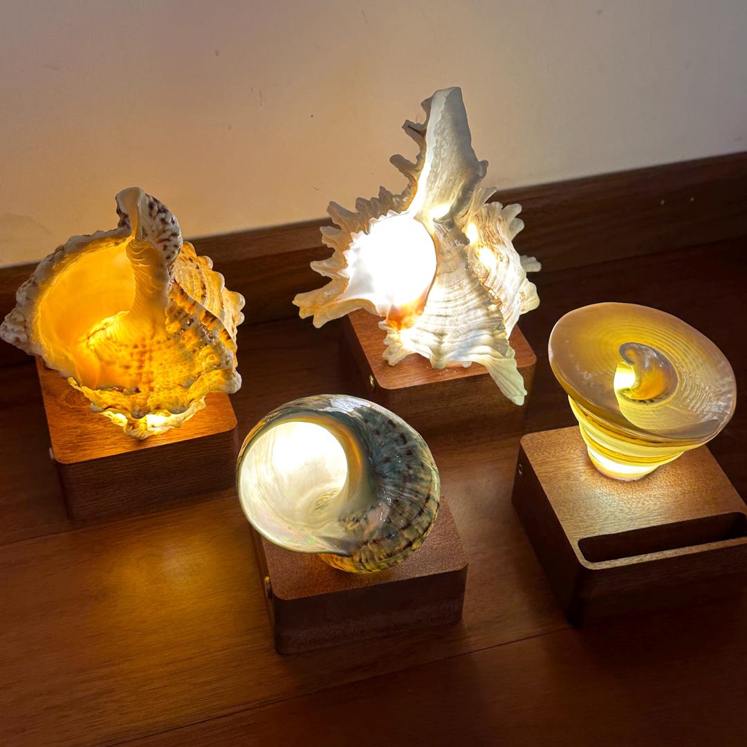 Conch Seashell Speaker - Wooden Phone Stand - SHELL Beach Nightlight ...