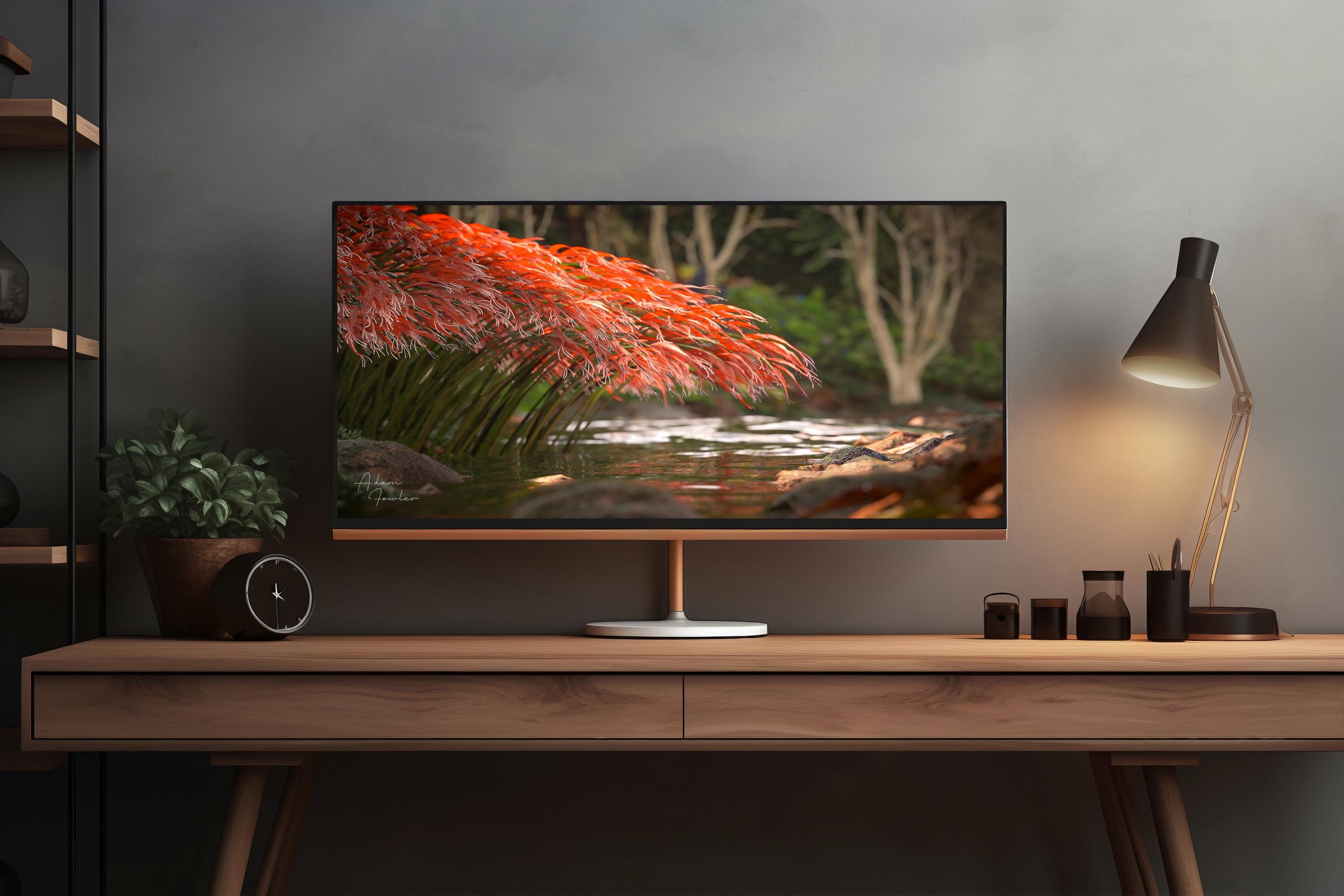 Beautiful Flower Aesthetic Computer Wallpaper 4K Desktop Background ...
