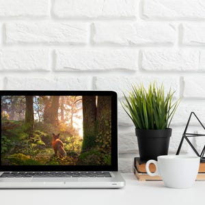 Fox Forest Aesthetic Computer Wallpaper 4K Desktop Background Laptop PC ...