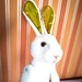 Pdf Sewing Pattern – Basic Rabbit Body 54cm Create a Plush Rabbit and ...