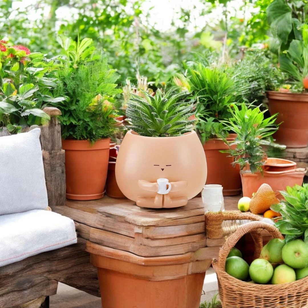 Cozy Pot Holding Drink Planter-unique Gift for Plant Enthusiasts - Etsy