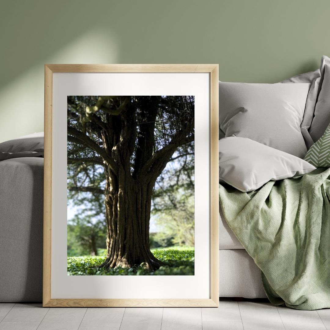Serene Tree Photography Digital Download | Nature Wall Art Print ...