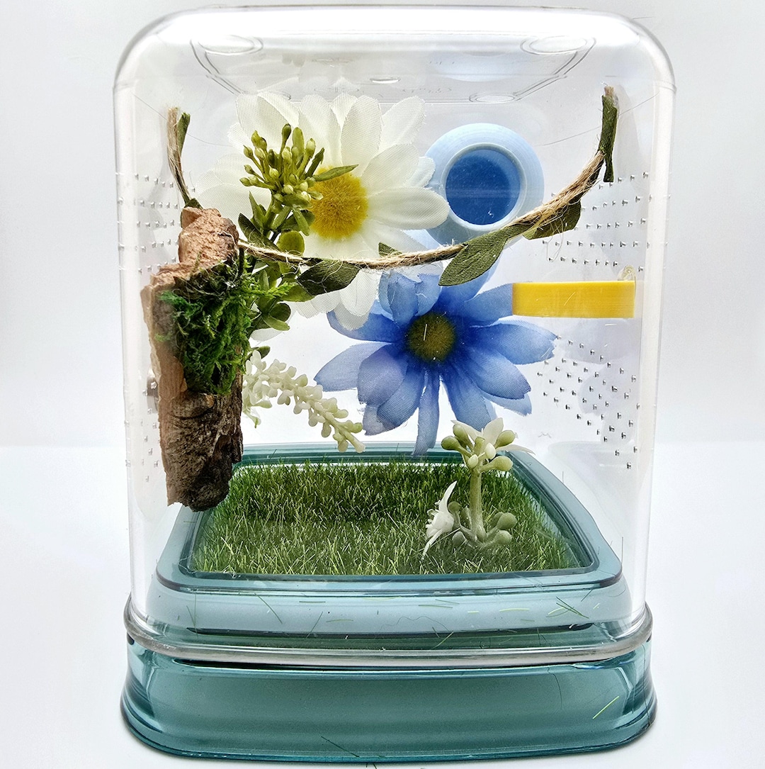 MADE TO ORDER** Blue Spring Enclosure - Etsy