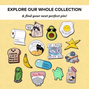 Pigeon Bird in Bread Funny Acrylic Pin | Cute Pigeon Pin Badge, Brooch ...