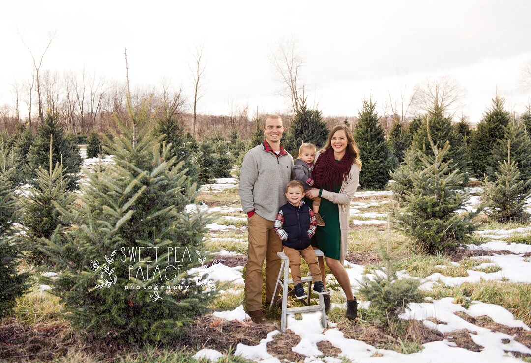 Instant Download Snow Tree Farm Photography Prop Digital Backdrop for ...