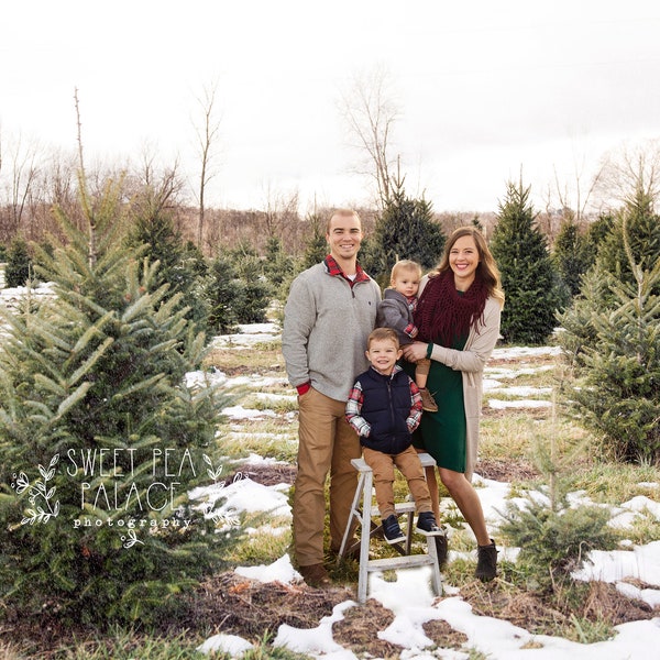 Christmas Photography Props - Etsy