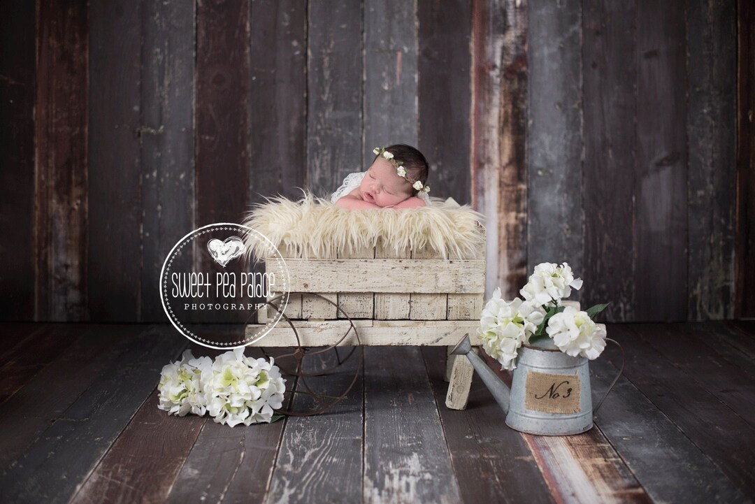 Baby Toddler Child Photography Prop Digital Backdrop for Photographers ...