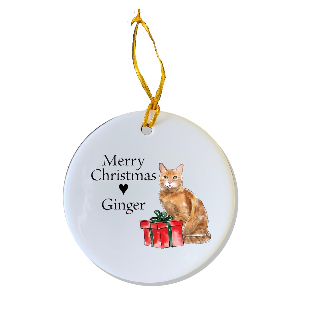 Personalized Orange Tabby Cat Christmas Ornament: Pet Memorial Gift - Etsy
