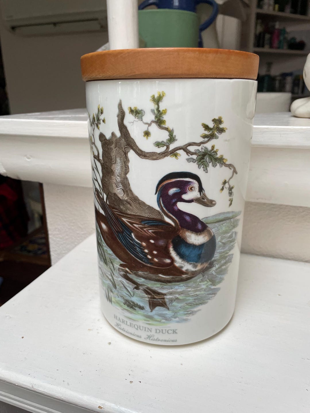 Vintage Portmeirion Botanic Garden Harlequin Duck Birds of Britain 8 ...