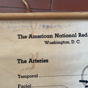 Anatomical Wall Chart Red Cross 1930s CPR VINTAGE by Plantdreaming - Etsy