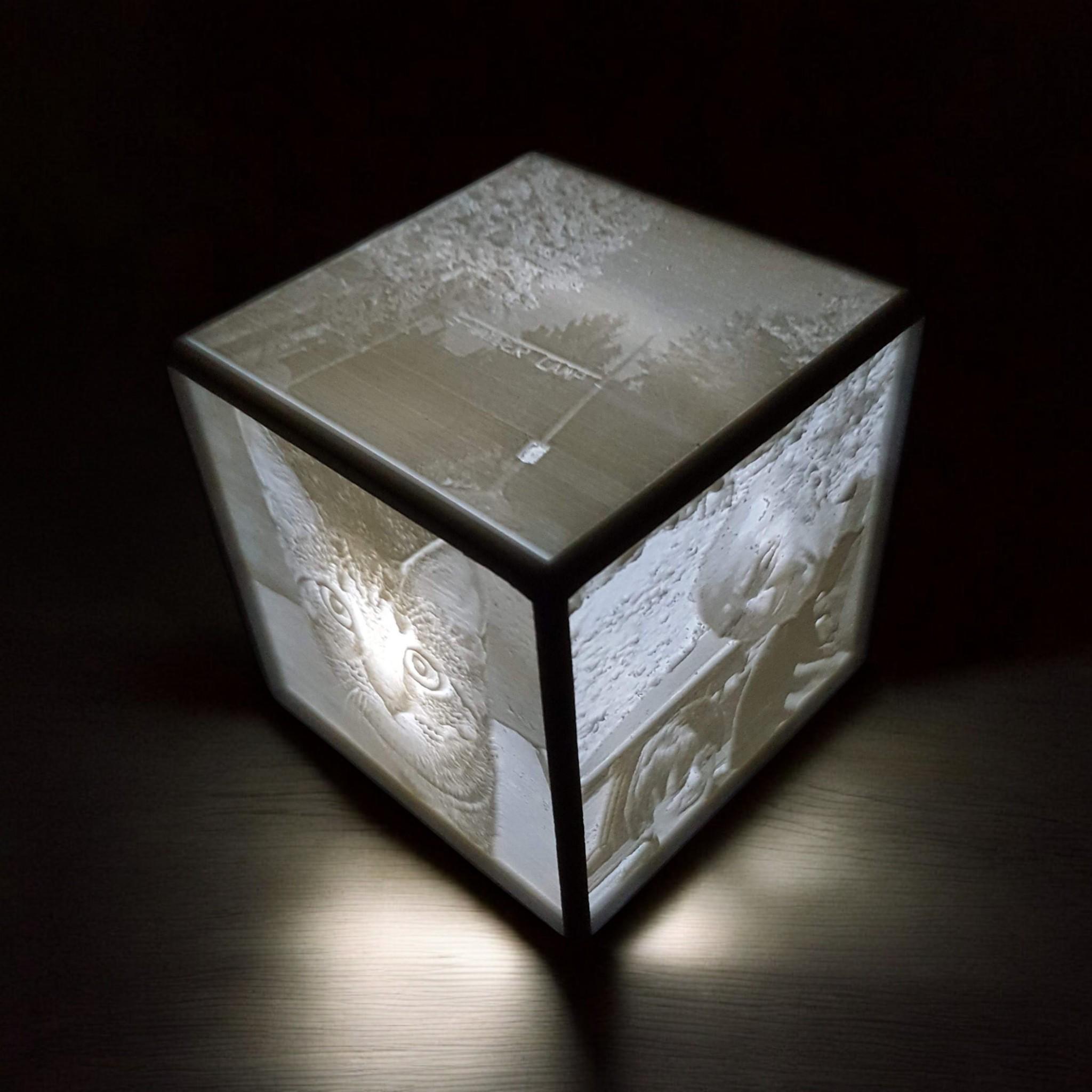 Personalized 3D Lithophane Night Light - Custom Photo Lamp | Unique ...
