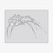 Spider #4 - Reusable Airbrush Stencil Template - Etsy