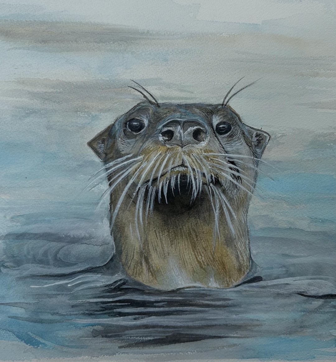 Original River Otter Painting - Etsy
