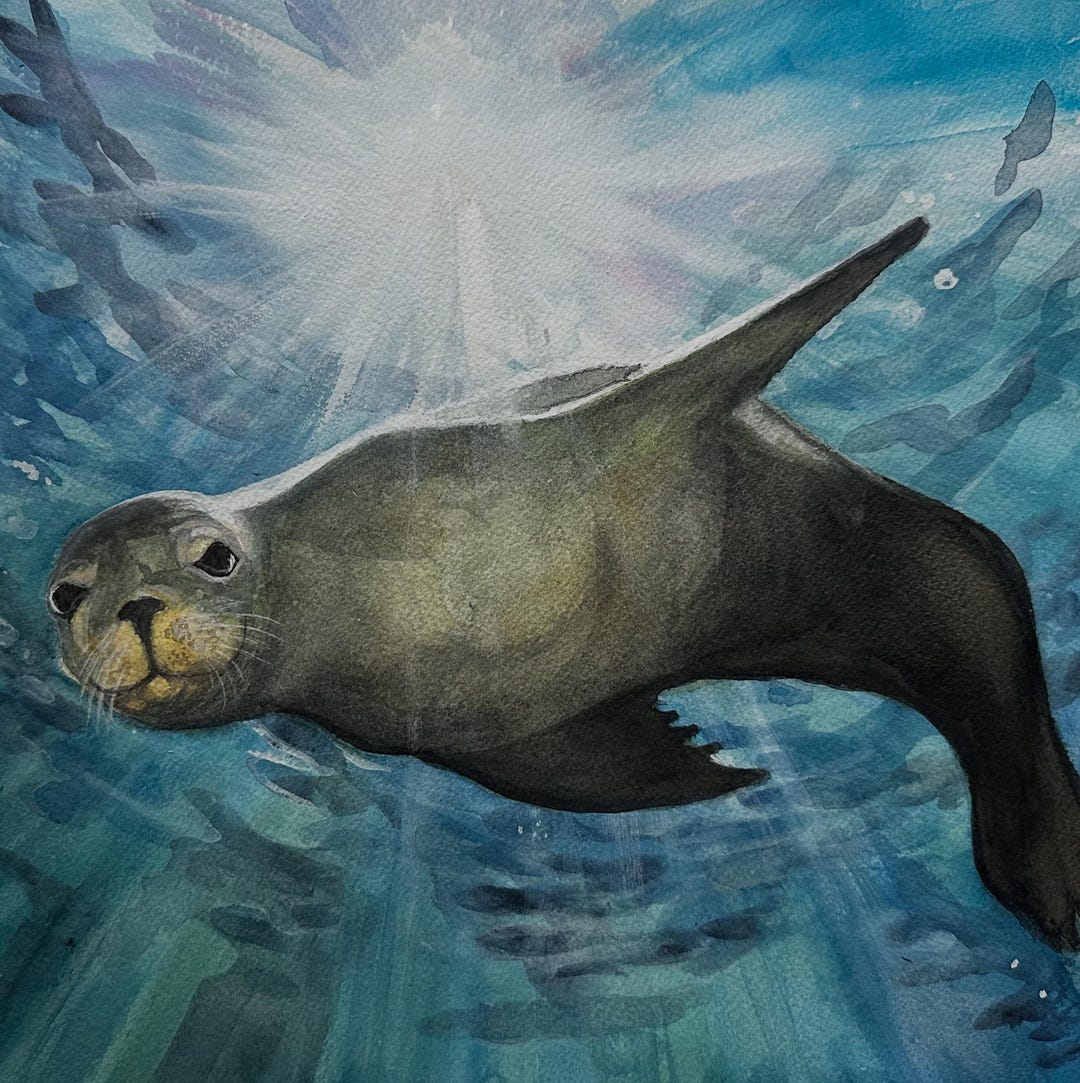 Original Sea Lion Painting - Etsy