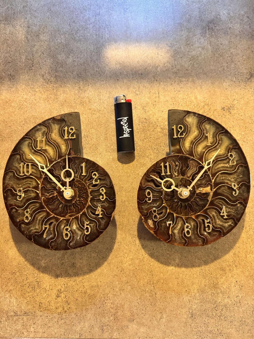 Fossil Ammonite Clock - Etsy