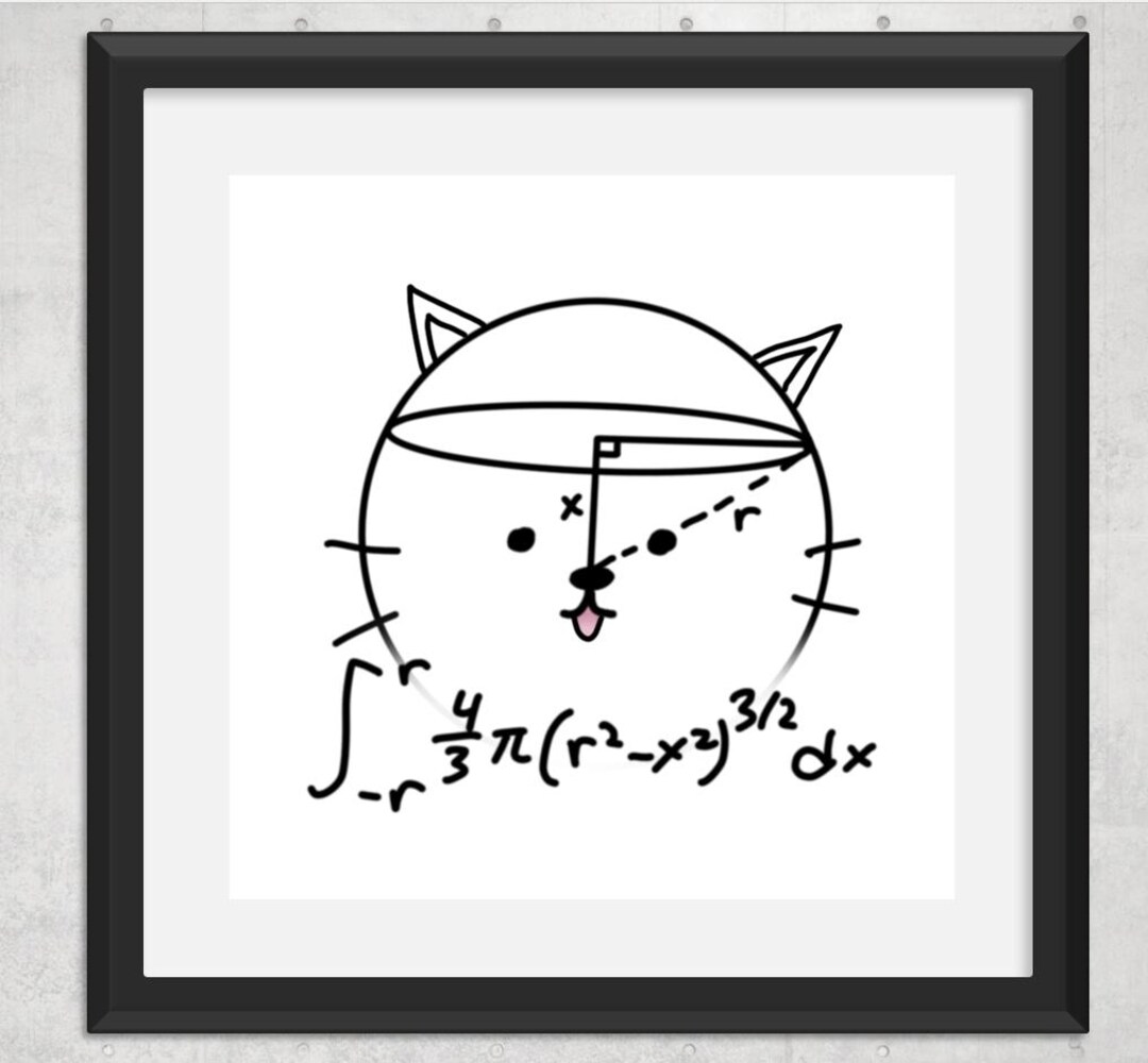 Calculus Cat - Etsy
