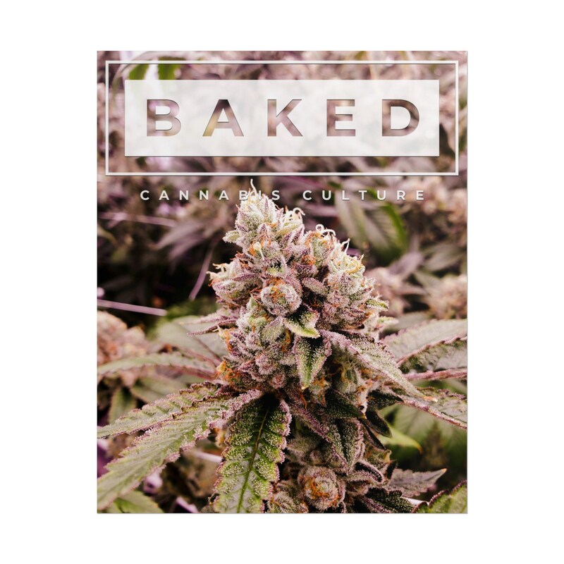 Marijuana Botanical Print - Etsy