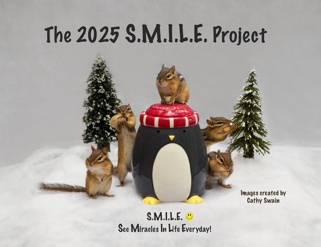 2025 Calendar, Chipmunk Calendar, Funny Calendar, 12 Month Calendar ...