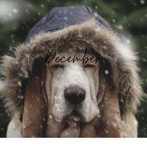 Dog Theme Customizable Calendar - Etsy