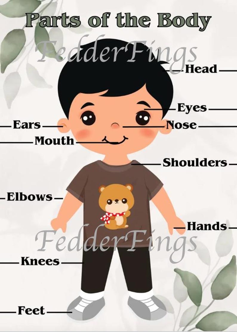 Educational Prints. Anatomy. Classroom. Decor. Nature Themed. Learning ...