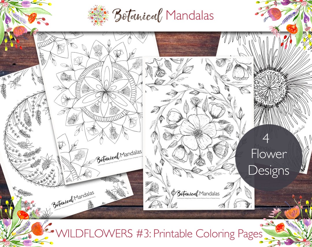 Printable Wildflower #3 Botanical Mandalas Coloring Pages Bundle ...
