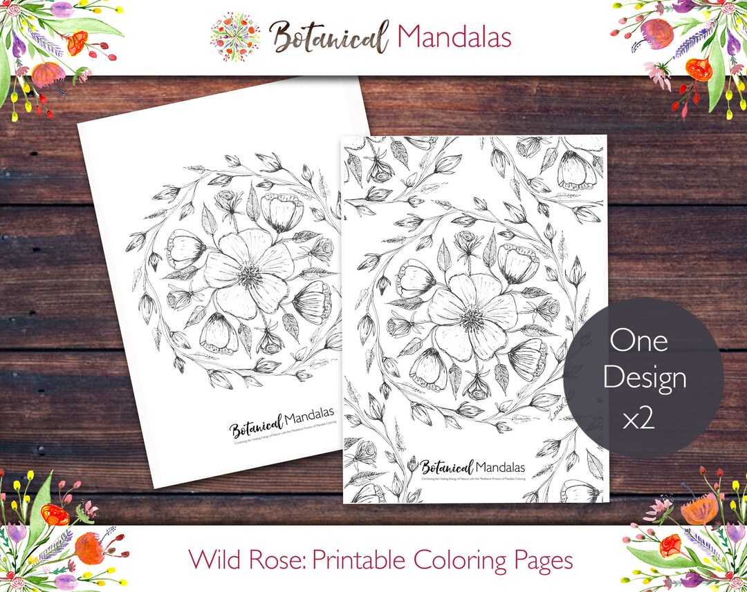 Printable WILD ROSE Flower Mandala Botanical Mandala Coloring Pages - Etsy